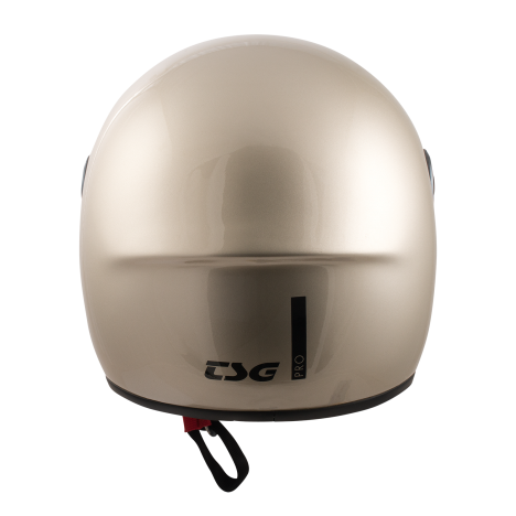 TSG - Pass Pro Fullface Helmet - Plateado - Flatspot Longboard Shop